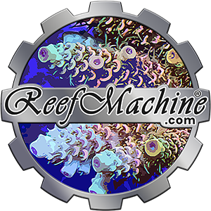 Reef Machine UK Mail Order Corals! Healthy, High Quality Frags