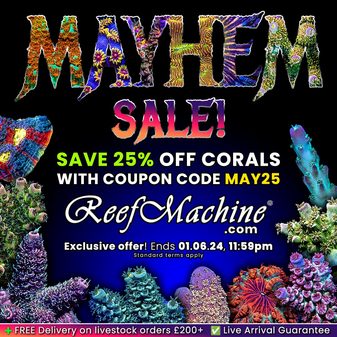 Reef Machine UK Mail Order Corals! Healthy, High Quality Frags