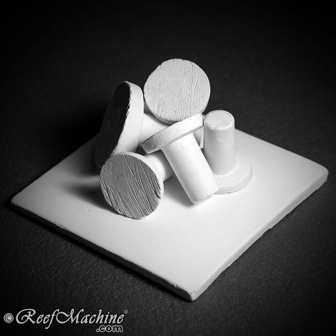 Reef Machine UK Mail Order Corals! Healthy, High Quality Frags - Reef ...