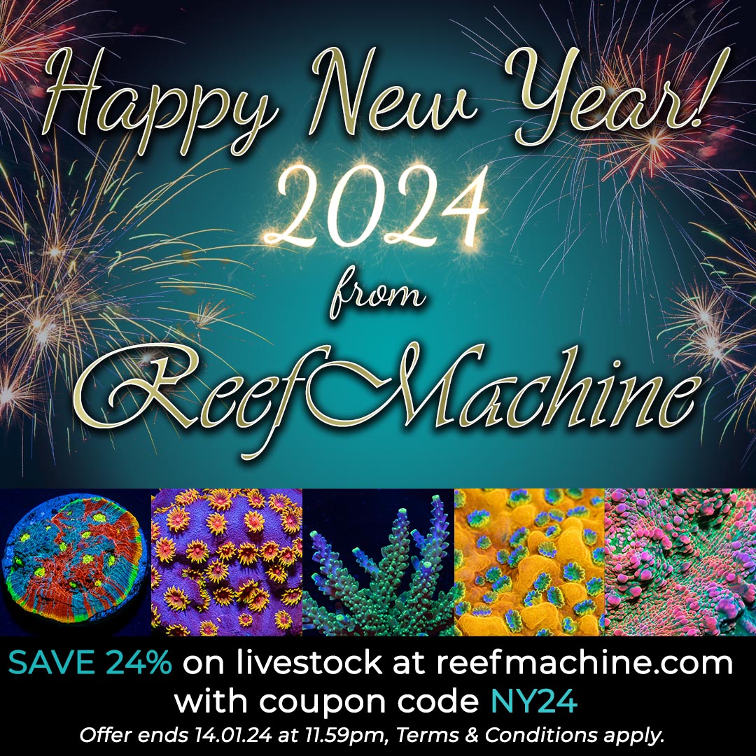 Reef Machine UK Mail Order Corals! Healthy, High Quality Frags - Happy ...